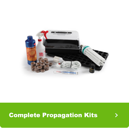 Propagation – Green Gardener