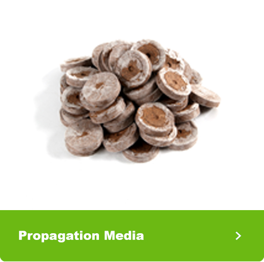 Propagation – Green Gardener