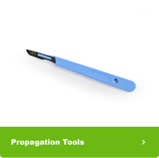 Propagation – Green Gardener