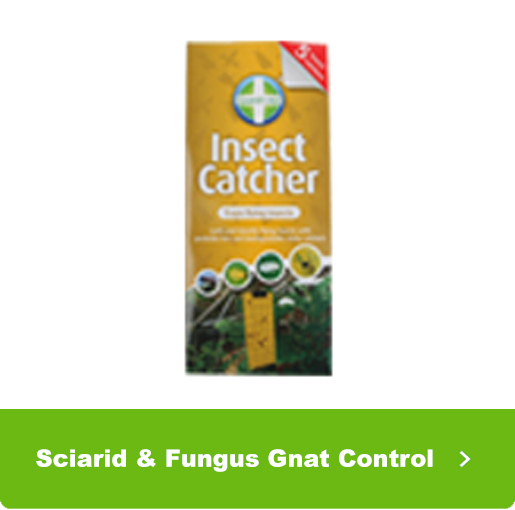 Pest & Disease Control – Green Gardener